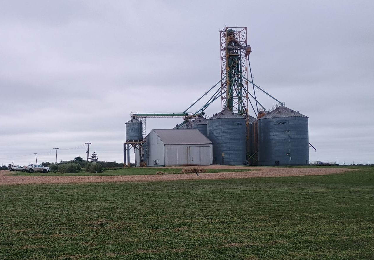 Louis Dreyfus Company adquiere planta de acopio de cereales y ...