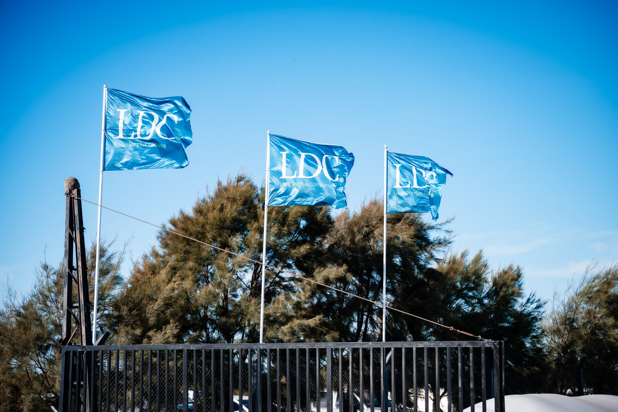 LDC in Argentina || Louis Dreyfus Company