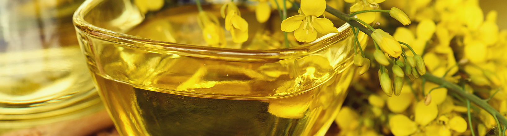 Global Canola Oil Supplier || Louis Dreyfus Company