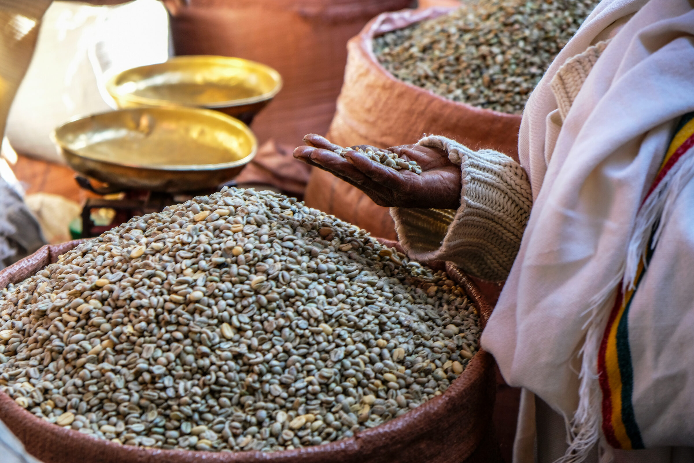 LDC in Ethiopia: 10 Years and Counting || Louis Dreyfus Company