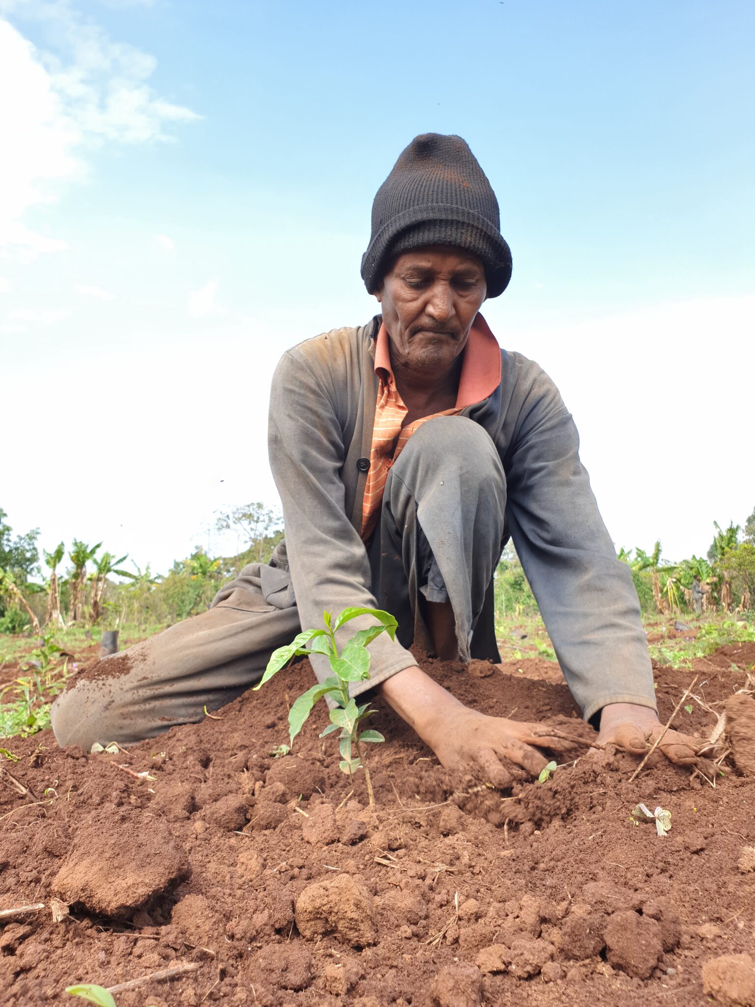 Empowering Women Coffee Farmers in Ethiopia || Louis Dreyfus Company